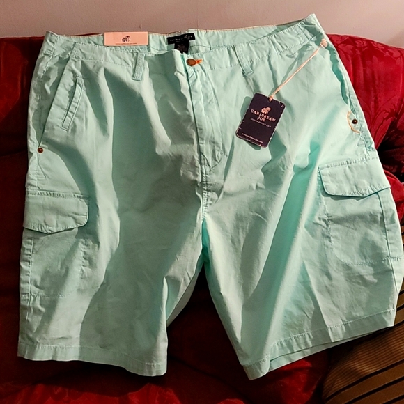 Caribbean Joe | Shorts | Caribbean How Island Supply Bluegreen Sz 38 ...